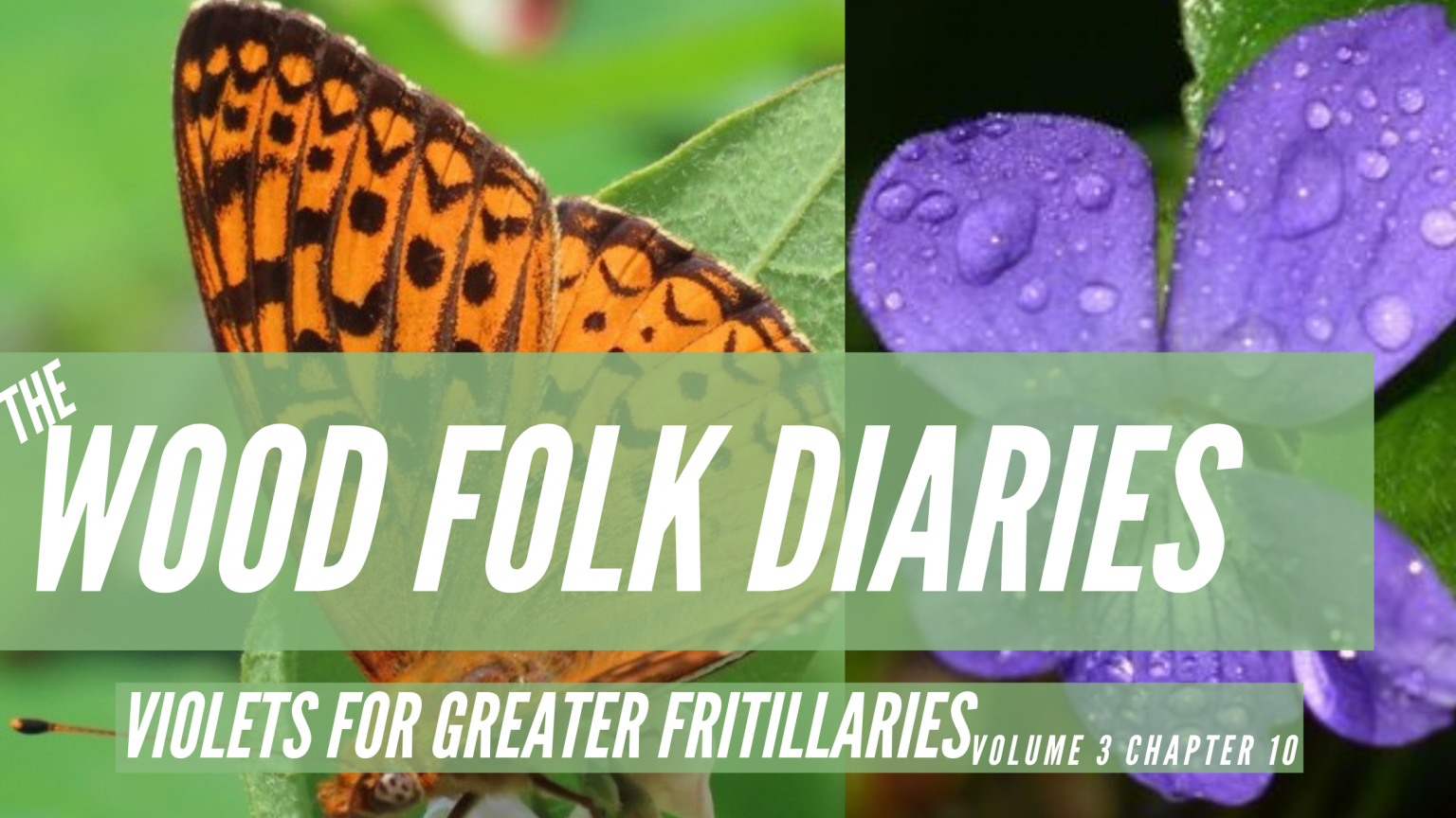 The Wood Folk Diaries: Volume 3, Chapter 10: Violets for Greater Fritillaries - Song of the Woods