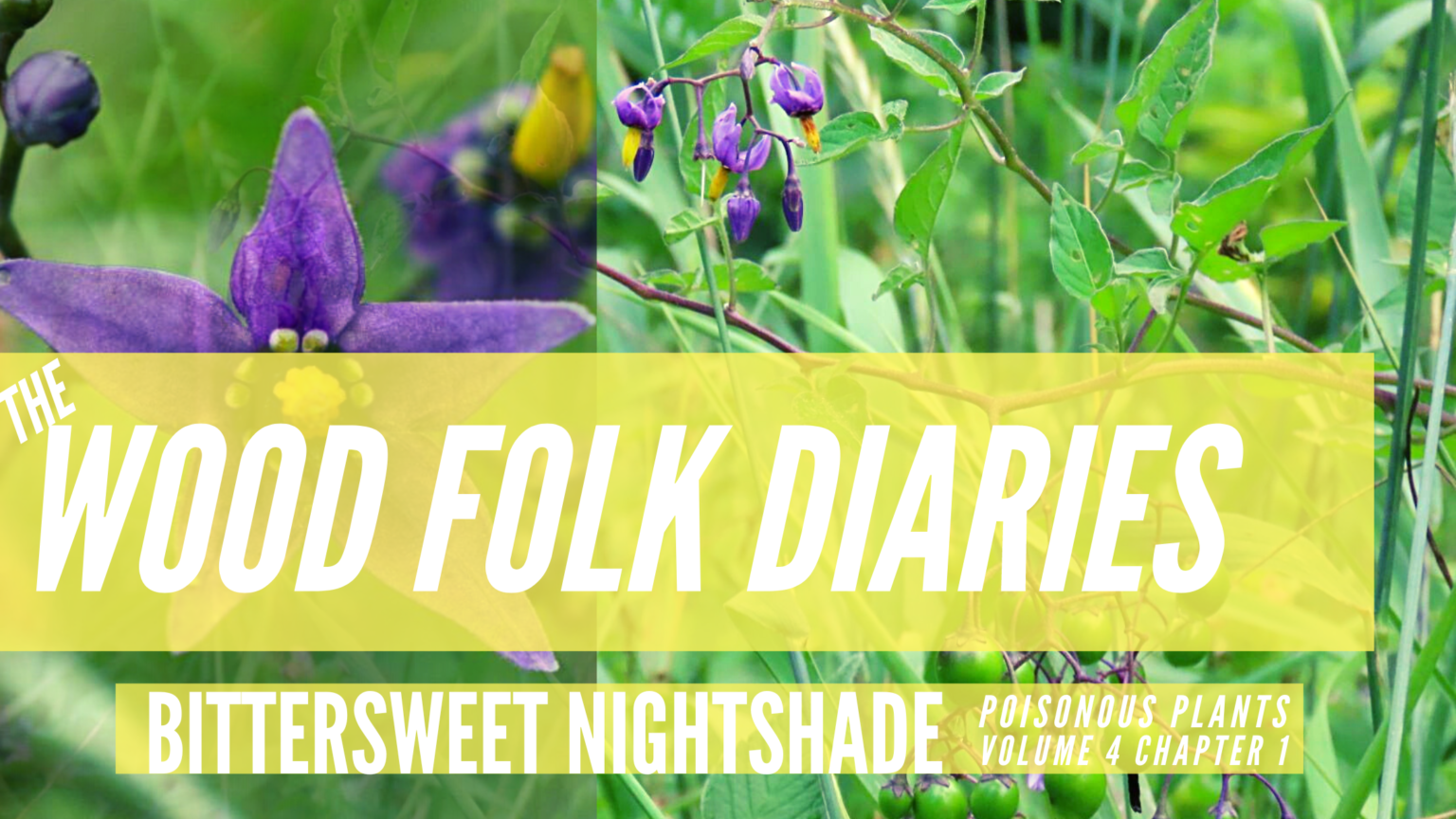 The Wood Folk Diaries: Volume 4 (Poisonous Plants), Chapter 1: Bittersweet Nightshade - Song of ...