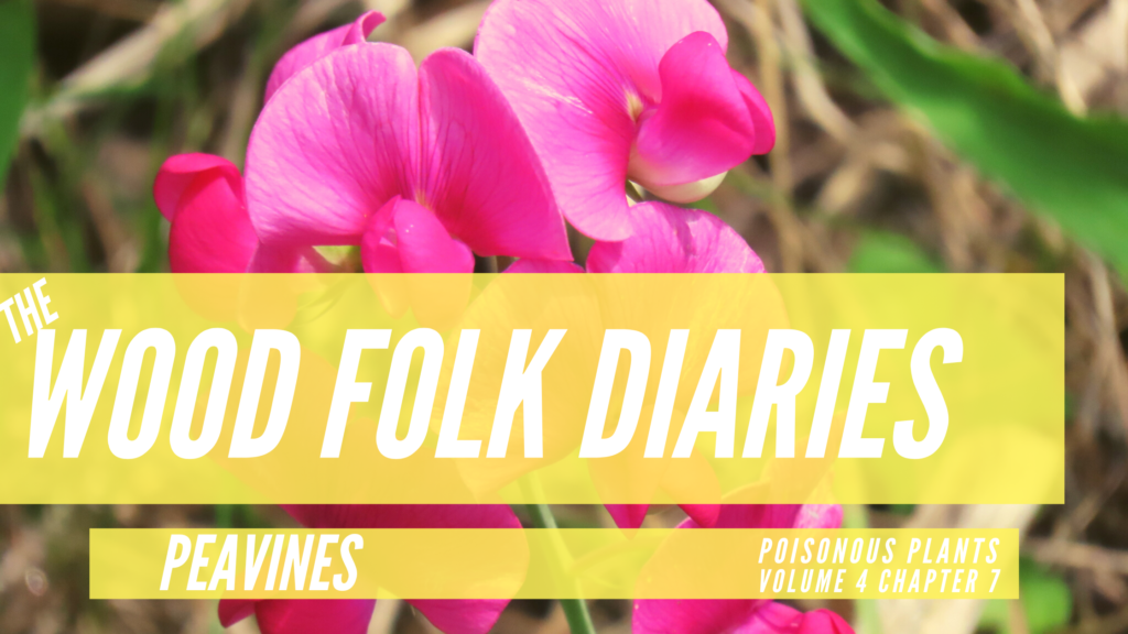 The Wood Folk Diaries: Volume 4 (Poisonous Plants), Chapter 7: Peavines - Song of the Woods
